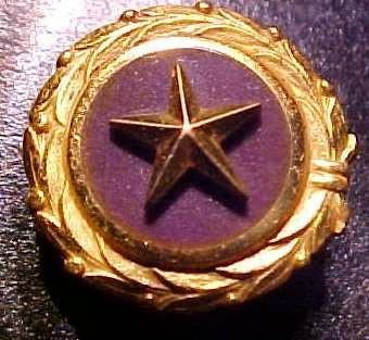 Blue star mother pin with gold star - HOMEFRONT & THE WAR EFFORT - U.S ...