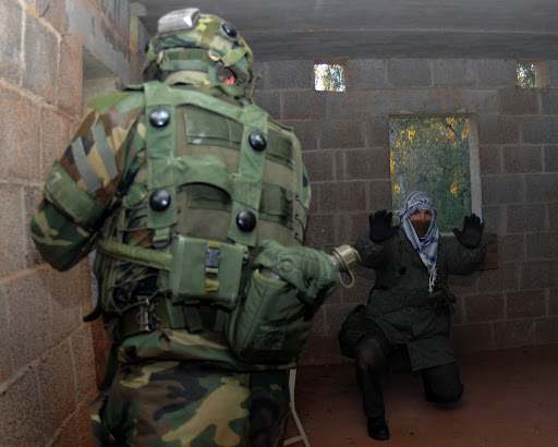 Deltoid Axillary Protection System (DAPS) in woodland camo - M-1; M-1C ...