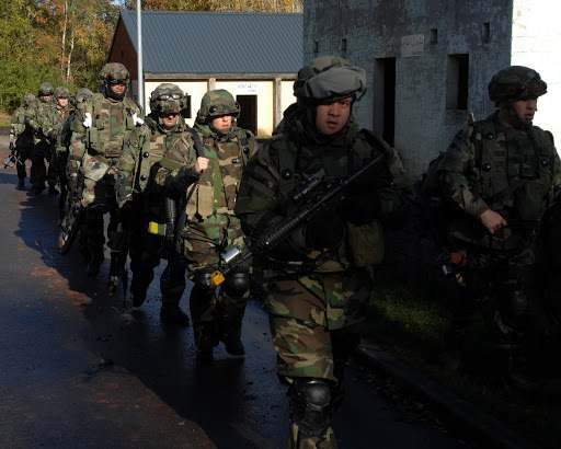 Deltoid Axillary Protection System (DAPS) in woodland camo - M-1; M-1C ...