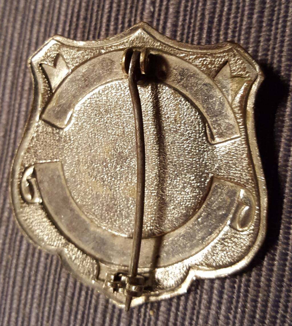 USN MAA Navy Police/Master-At-Arms Badges - Page 9 - BADGES, AWARDS ...