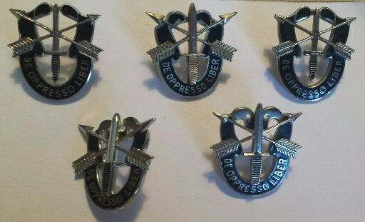 MY SPECIAL FORCES DUI VARIATIONS ~ HARPS & 77th GP - DISTINCTIVE UNIT ...