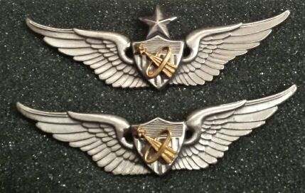 Army ASTRONAUT WINGS - ARMY (INCLUDING USAAC/AAF) - U.S. Militaria Forum