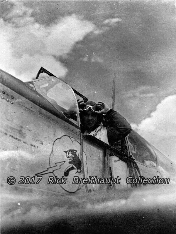 5th Fighter Squadron 52nd Fighter Group 12th & 15th AAF "Spitten Kitten ...