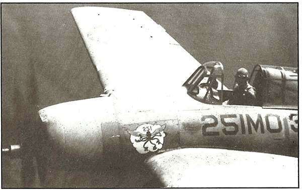 VMO-251 / VMF-251 - WALIKA'S USMC SQUADRON PATCHES - U.S. Militaria Forum