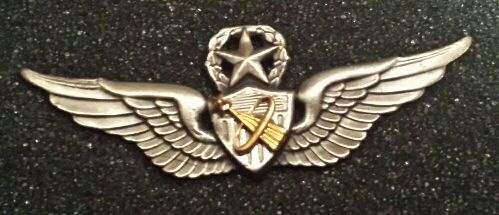 Army ASTRONAUT WINGS - ARMY (INCLUDING USAAC/AAF) - U.S. Militaria Forum