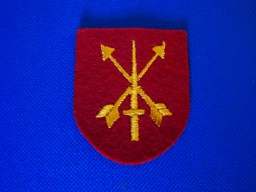 Operation White Star beret flash - ARMY AND USAAF - U.S. Militaria Forum