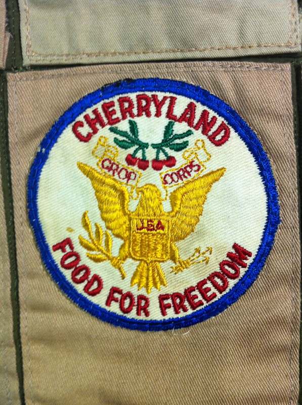 Home Front Patches - HOMEFRONT & THE WAR EFFORT - U.S. Militaria Forum