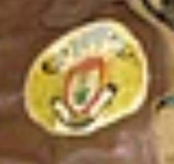 need id on this a-2 jacket with patch - UNIFORMS - U.S. Militaria Forum