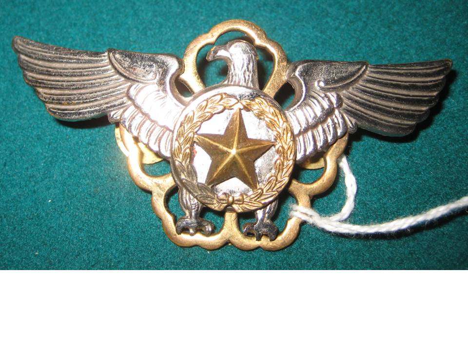 What Wings are these? Bullion 'E' wing and Cap Badge(?) - WING BADGES ...