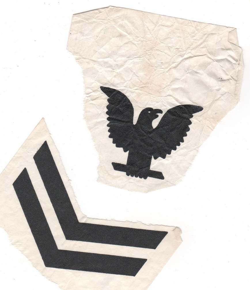 Iron On excitement - NAVY, COAST GUARD AND OTHER SEA SERVICES - U.S ...