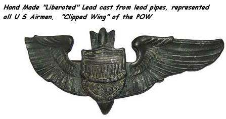 POW wings? Ball and chain - WING BADGES - U.S. Militaria Forum