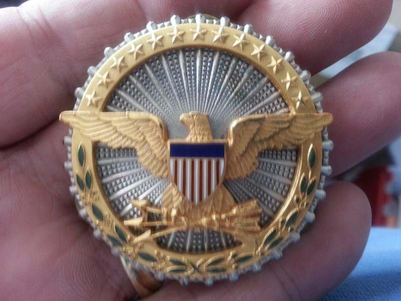 Military? Pin ID help please - MISC MILITARIA - U.S. Militaria Forum