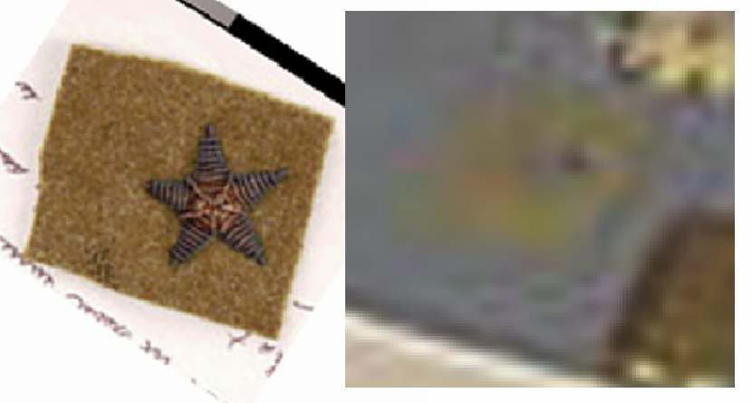 Gold Star Award for Shooting Down an Enemy Aircraft? - (1917-1919 ...