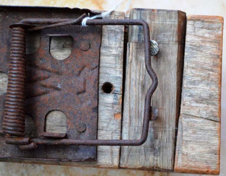 Nasty Viet Cong Rat Trap Bullet Booby Trap - FIREARMS - U.S. Militaria ...