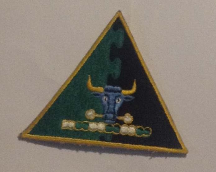 Can anyone ID this green, blue, and white bull patch? - CAN YOU ...