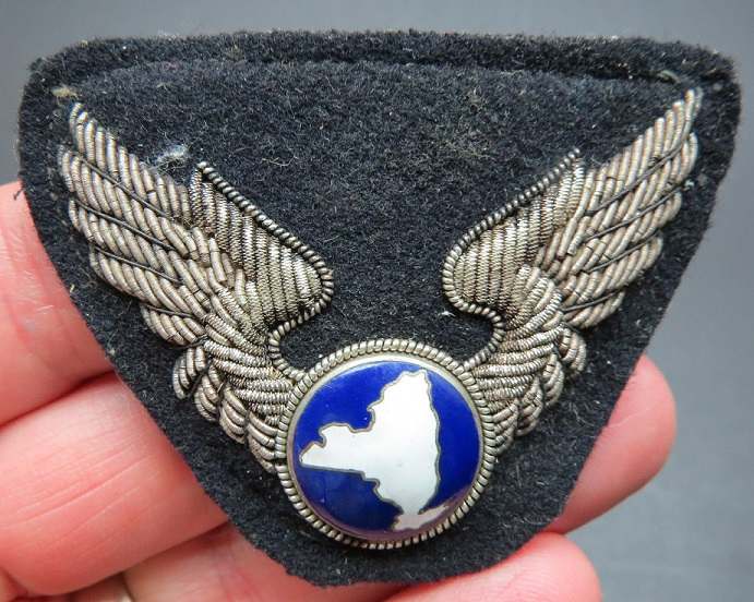 New York State wing i.d.? CAP, Air Guard, Police Aero? - WING BADGES ...