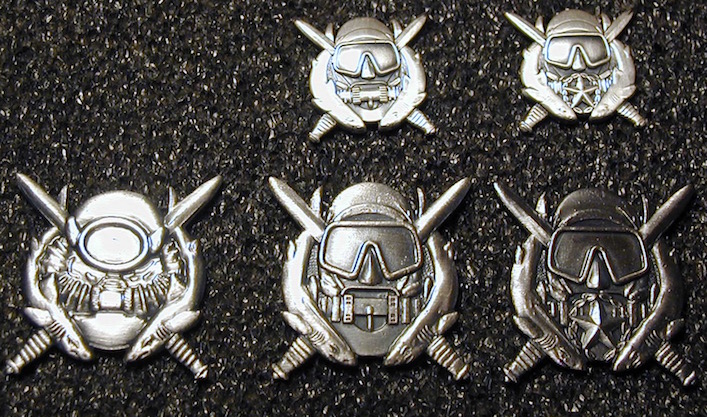 Army Combat Diver Badge