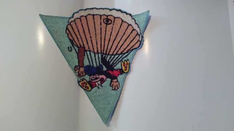 515th PIR & 2nd Div. patches from antique shop - ARMY AND USAAF - U.S ...