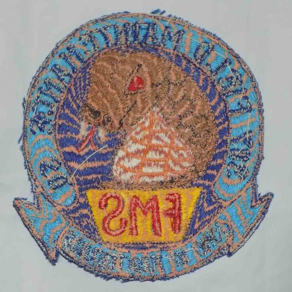 307th FMS patch - AIR FORCE (USAAF IS WITH ARMY) - U.S. Militaria Forum
