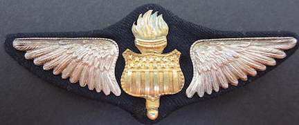 Weekly World War Wing #5 - Dan S Dunham - WING BADGES - U.S. Militaria ...