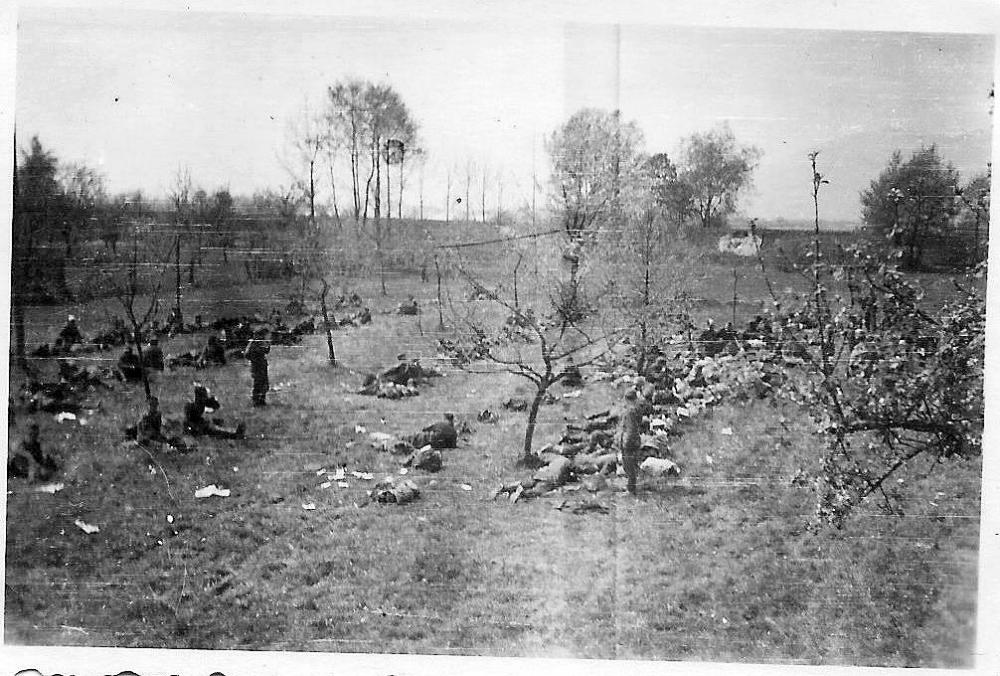 5th Infantry Regiment in Europe WWII photo album - EPHEMERA ...