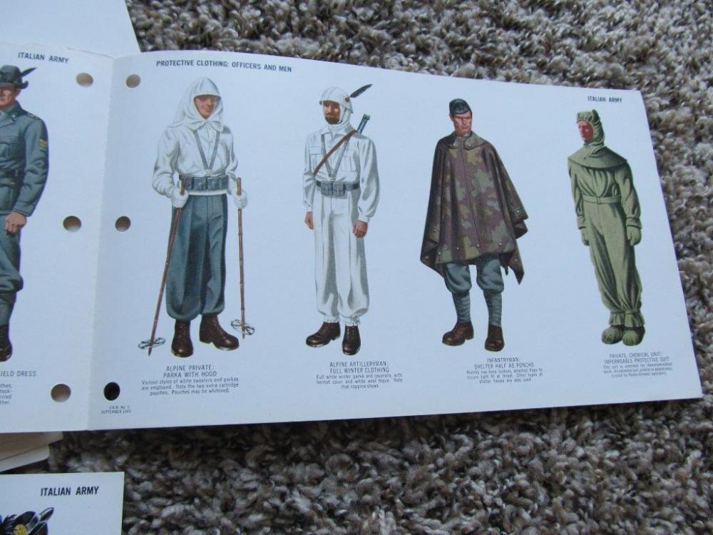 WWII U.S. Army Axis Uniform Manuals Info sought. - EPHEMERA ...