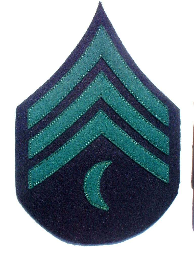 1902 Chevrons - ARMY (INCLUDING USAAC/AAF) - U.S. Militaria Forum