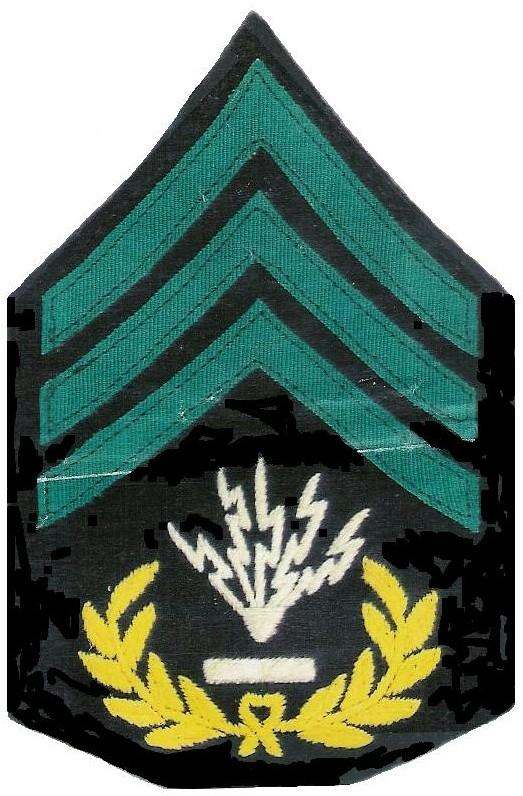 1902 Chevrons - ARMY (INCLUDING USAAC/AAF) - U.S. Militaria Forum