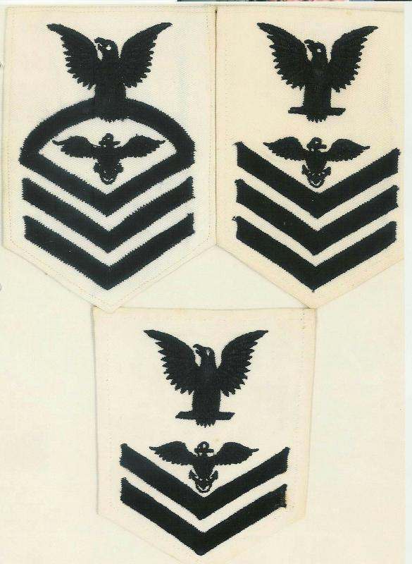 Enlisted Aviation Pilot Rates, U.S.Navy - NAVY, COAST GUARD AND OTHER ...