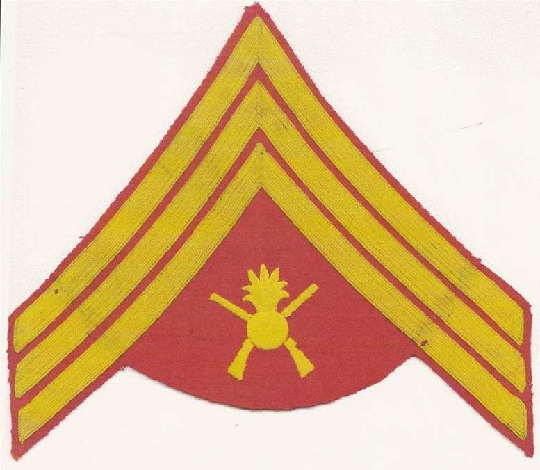 U.S.M.C. Chevrons - MARINES - U.S. Militaria Forum