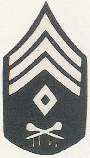First Sergeant Chevrons - ARMY (INCLUDING USAAC/AAF) - U.S. Militaria Forum