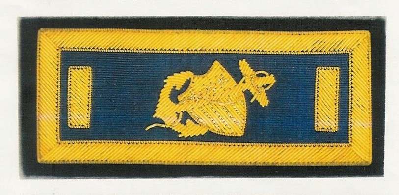 Revenue Cutter Service (pre Coast Guard) Ranks and Rates - NAVY, COAST ...