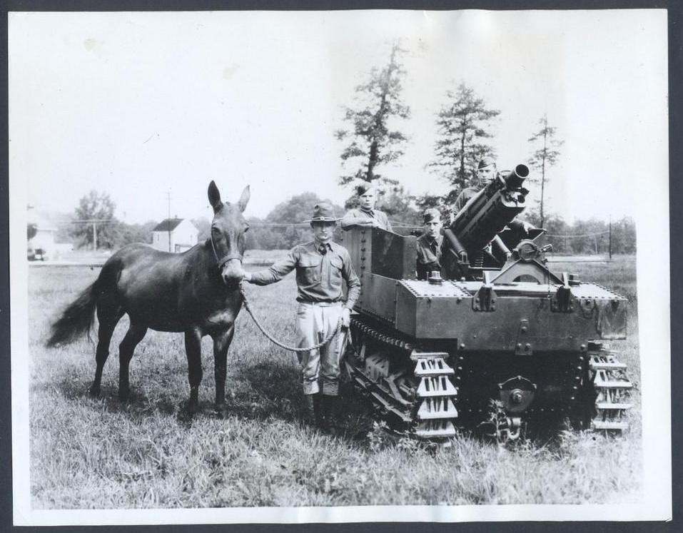 WW2 Horse Cavalry and Mule photos - Page 2 - EPHEMERA, PHOTOGRAPHS ...
