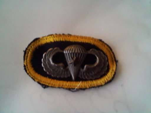 Which shade of "gold" for 327th flash and oval?? - ARMY AND USAAF - U.S ...