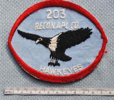 203rd Aviation Company - ARMY AND USAAF - U.S. Militaria Forum