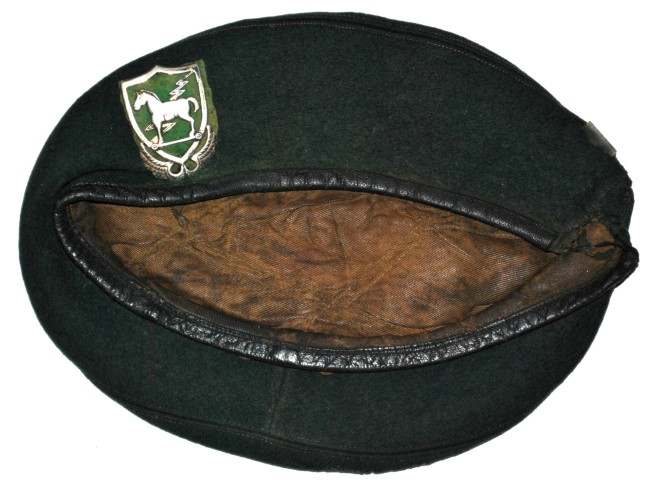Early 10th Special Forces Group Green Beret & Trojan Horse Crest ...