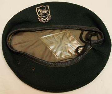 Early 10th Special Forces Group Green Beret & Trojan Horse Crest ...