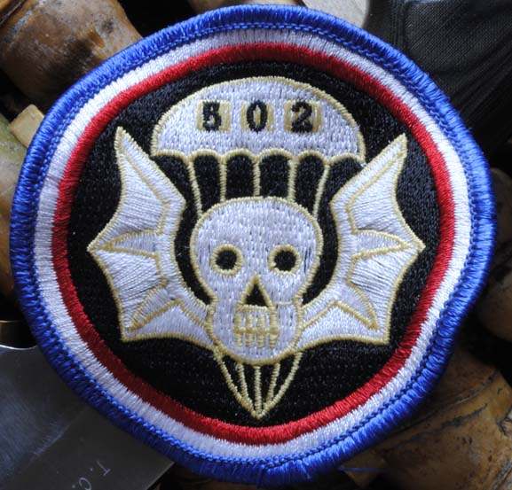 Fake 502nd Vietnam Patch? - ARMY AND USAAF - U.S. Militaria Forum