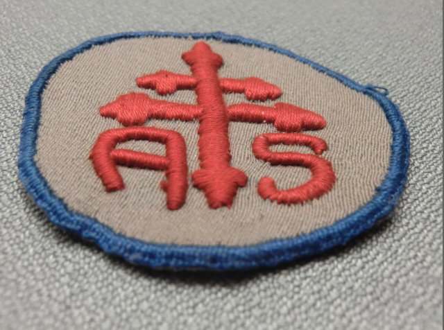 WW1 Advanced Sector Patches....Variation Identification - ARMY AND ...