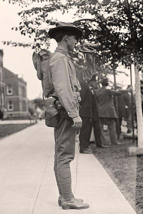Was there such a thing as officer's leg wraps/puttees? - (1917-1919 ...