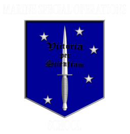US MARSOC (MSOS?) patch - MARINES - U.S. Militaria Forum