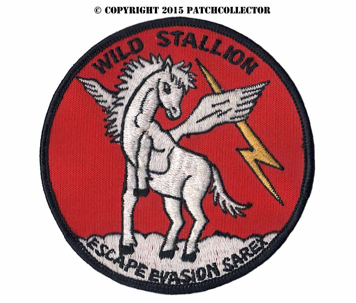 A USAF Wild Stallion SAREX patch - AIR FORCE (USAAF IS WITH ARMY) - U.S ...