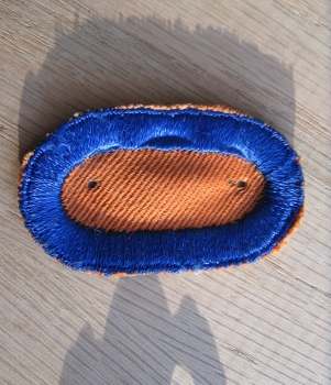 Paratrooper jump wing with oval - AIRBORNE, GLIDER TROOPS, PARATROOP ...