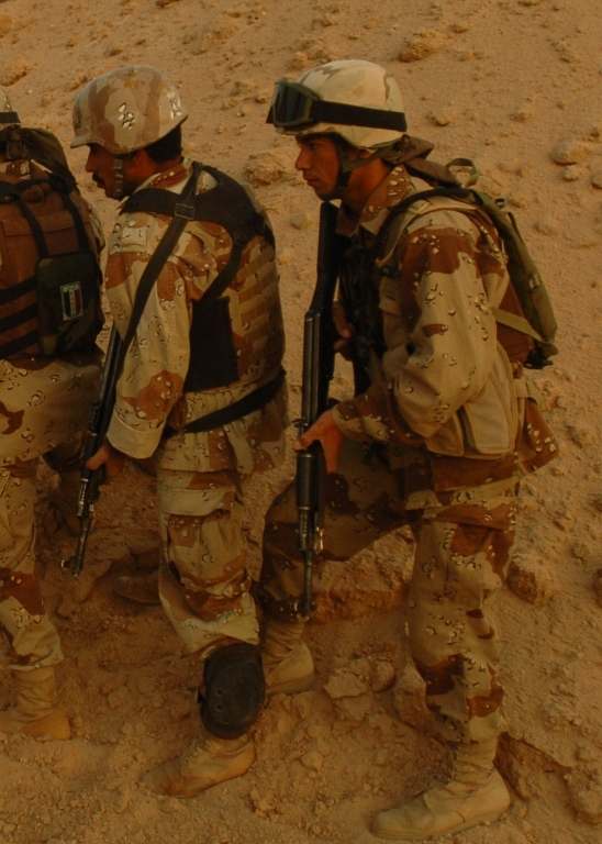 NEED HELP! Afghan helmet or PASGT? - MODERN COMPOSITE HELMETS - U.S ...