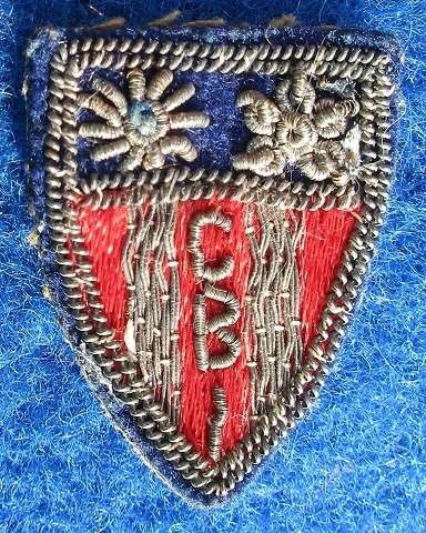 CBI Bullion Hat Badge - ARMY AND USAAF - U.S. Militaria Forum