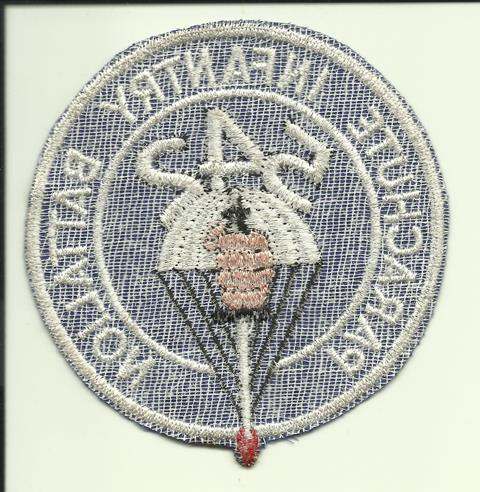 542nd PIB insignia - ARMY AND USAAF - U.S. Militaria Forum