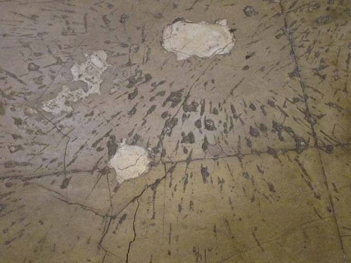 USMC battle of Alcatraz - MILITARY HISTORY DISCUSSIONS - U.S. Militaria ...