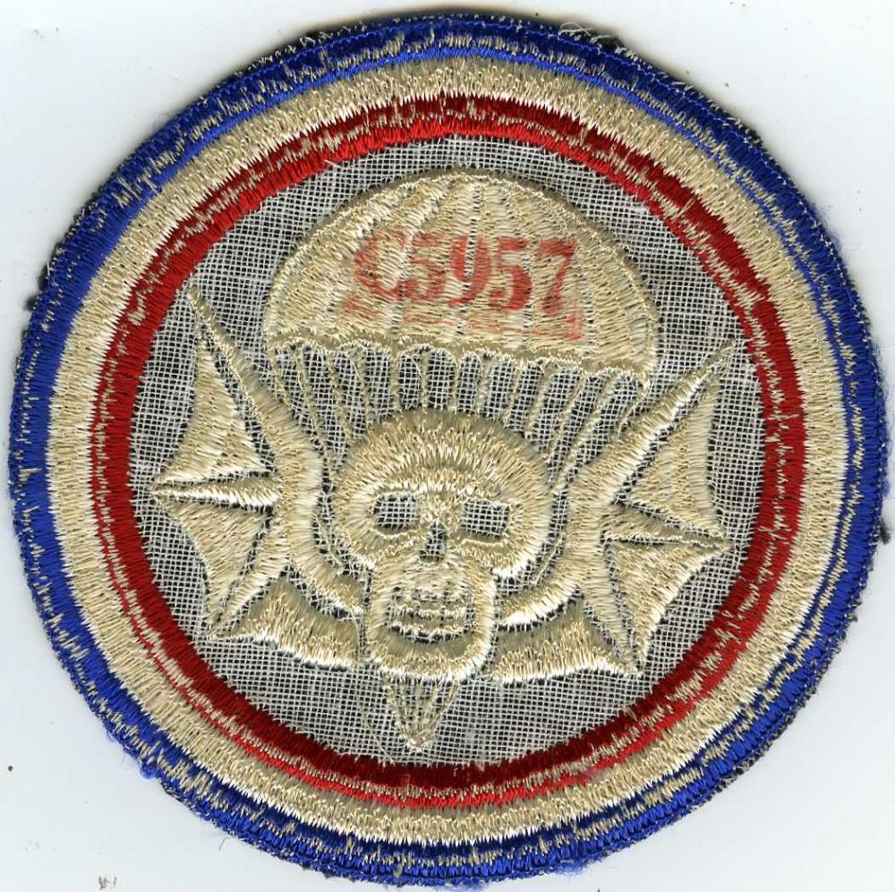 502nd PIR patch - ARMY AND USAAF - U.S. Militaria Forum