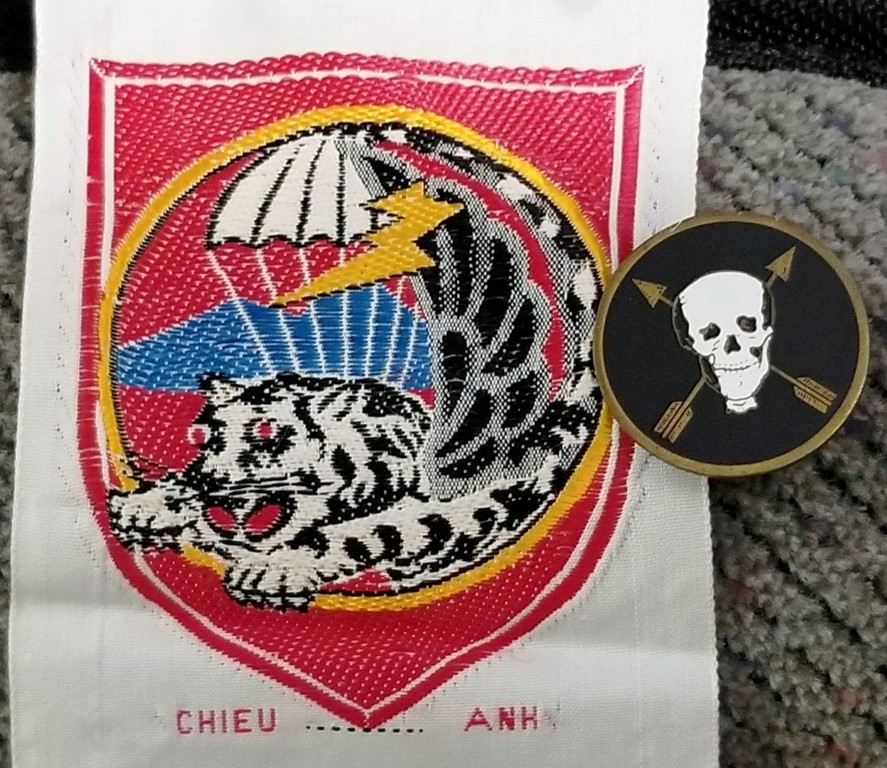 Vietnam US Special Forces Special Mission Force (SMF) Skull Pin ...