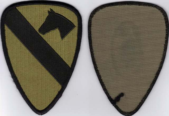 1st Cav Multi CAM patch - ARMY AND USAAF - U.S. Militaria Forum